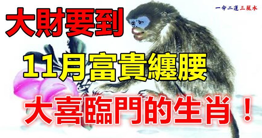 11月富貴纏腰，大財要到，大喜臨門的生肖！ - sb123 | FUN01 創作分享