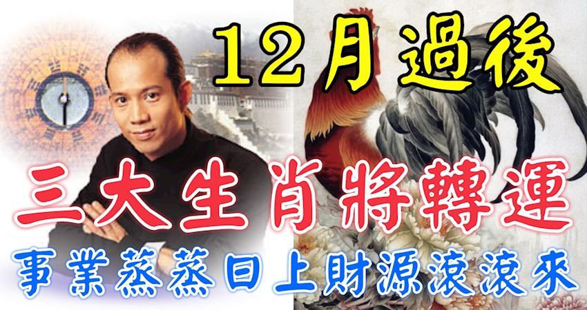 風水大師蘇民峰：12月過後三大生肖將轉運，事業蒸蒸日上財源滾滾來 - sb123 | FUN01 創作分享