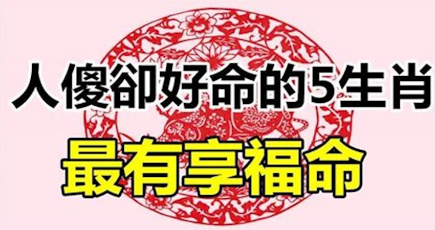 人傻錢多的5個生肖 - sb123 | FUN01 創作分享