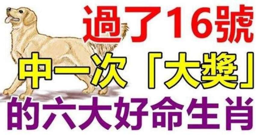 過了5月16號，5月中旬後財運好的生肖 - sb123 | FUN01 創作分享