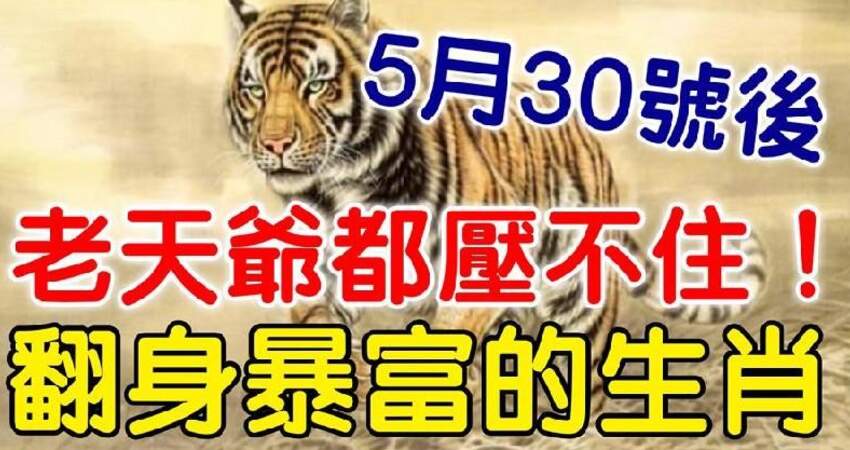 過了5月30號，老天爺都壓不住，翻身暴富的生肖 - sb123 | FUN01 創作分享