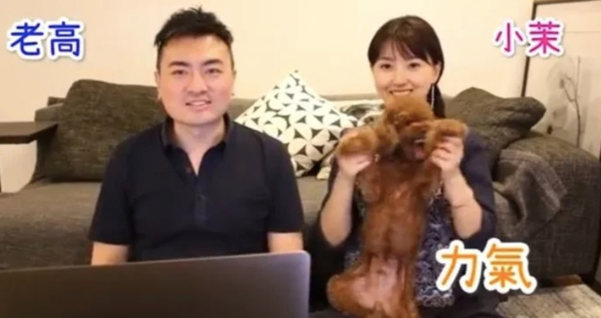 傳年收破3億！老高小茉「為何不生孩子？」 他鬆口曝原因 - Qoo | FUN01 創作分享