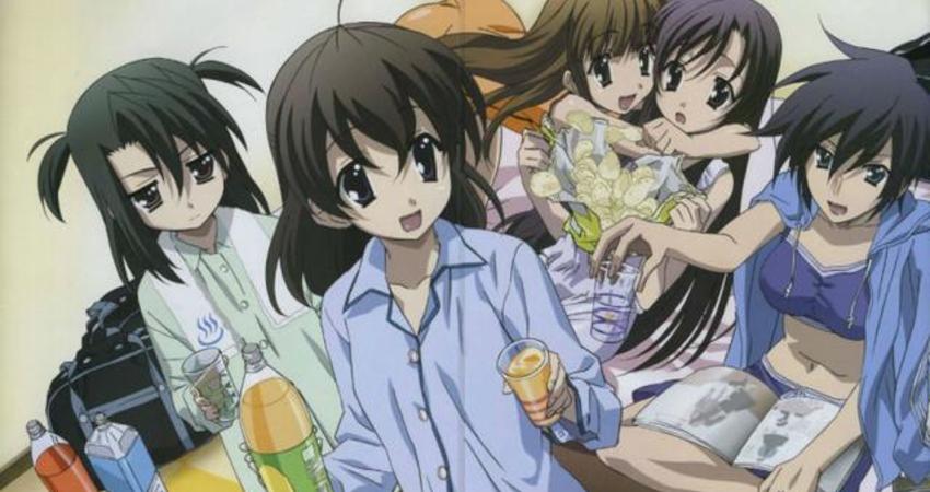 為什麼後宮題材作品的結局往往很難讓人滿意？ - 動漫都市ACGM | FUN01 創作分享