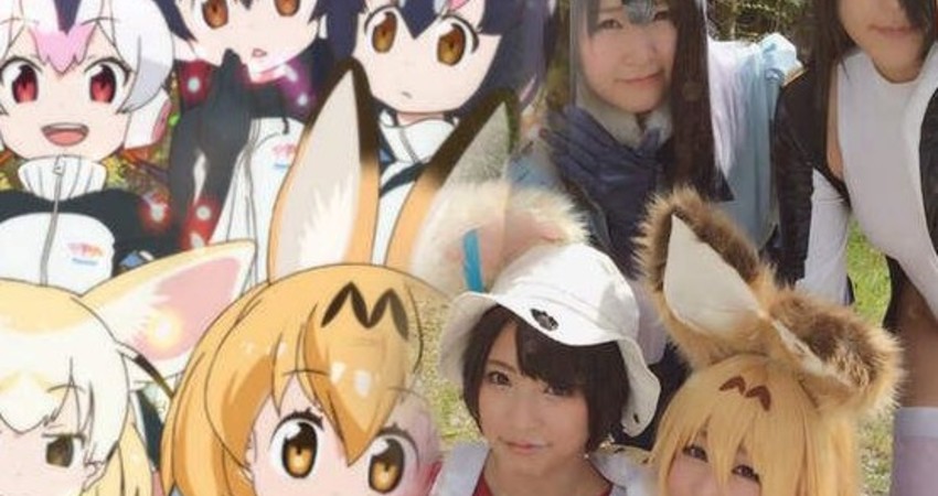 TMA新作《動物朋友AV：歡迎來到亂 樂園》變態怪物不要汙染百合王國啦 - 動漫都市ACGM | FUN01 創作分享