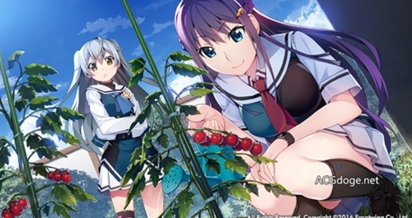 全年齡向遊戲《灰色Phantom Trigger》動畫化決定 - 動漫都市ACGM | FUN01 創作分享