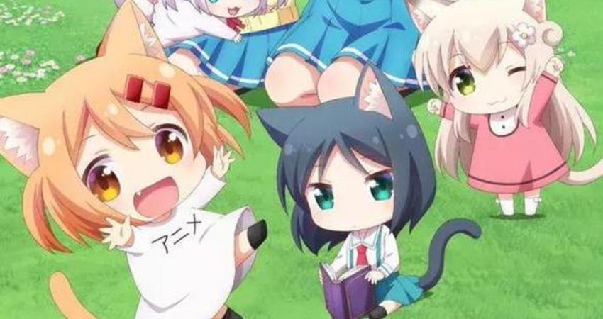 沉迷貓？推薦4部“貓咪”為主角的動畫！ - 動漫都市ACGM | FUN01 創作分享