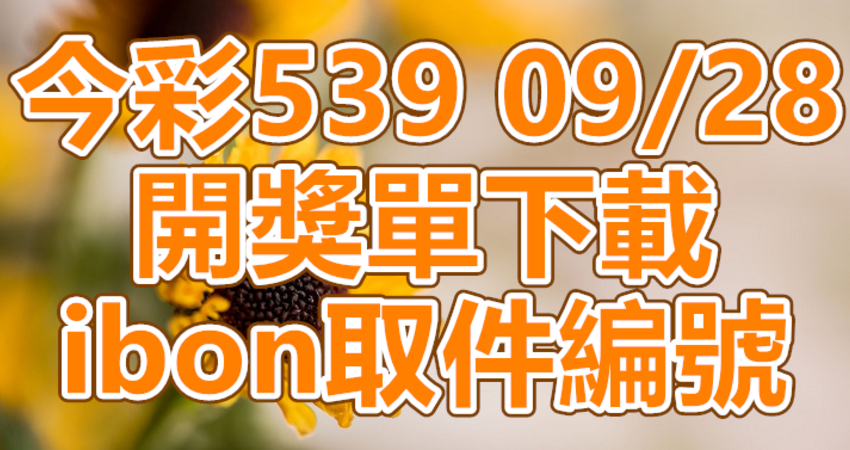 539 2018/09/28 開獎單下載 IBON 取單編號 - 兔大 | FUN01 創作分享