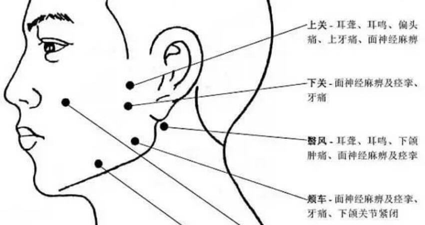 人體穴位圖及作用功效【完整版】 - zx | FUN01 創作分享