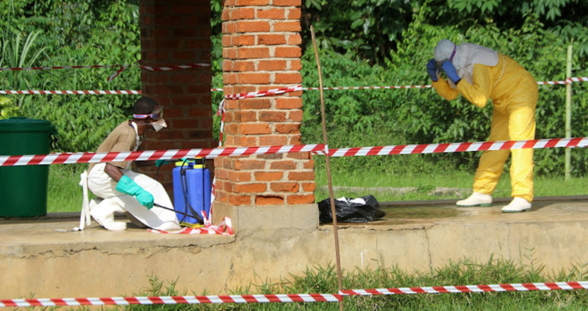 爆發不明疾病！「發病48小時就斷氣」已超過50人死亡 - zx | FUN01 創作分享